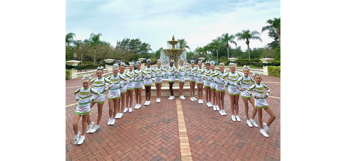 Venice Vikings Football and Cheer Association > Home